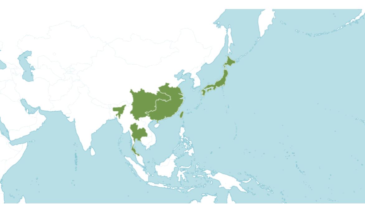 La plante du mois : Neiges de printemps en Asie subtropicale, le ...